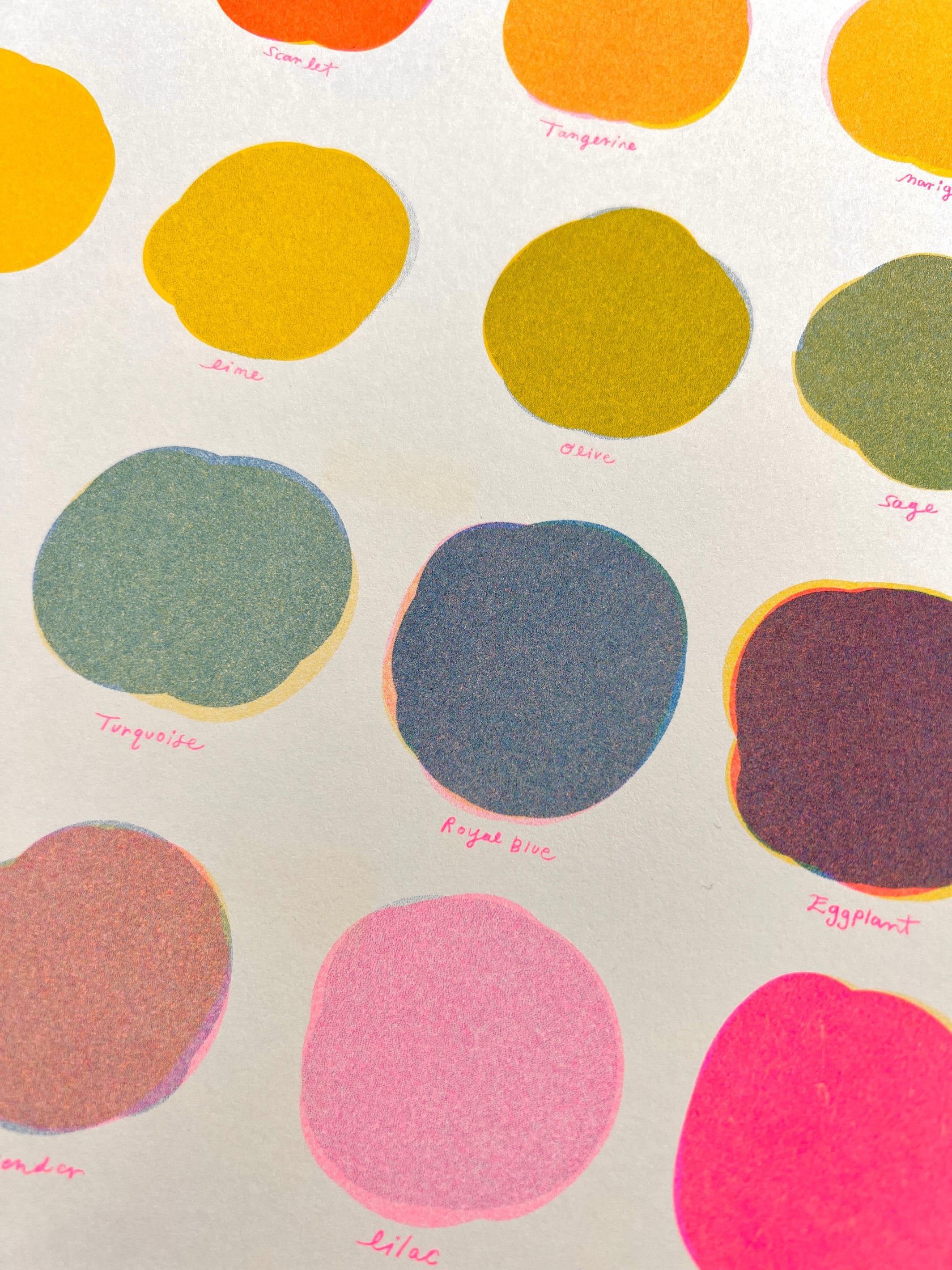 Riso Color Swatch in Blue, Yellow and Fluorescent Pink – natalie andrewson