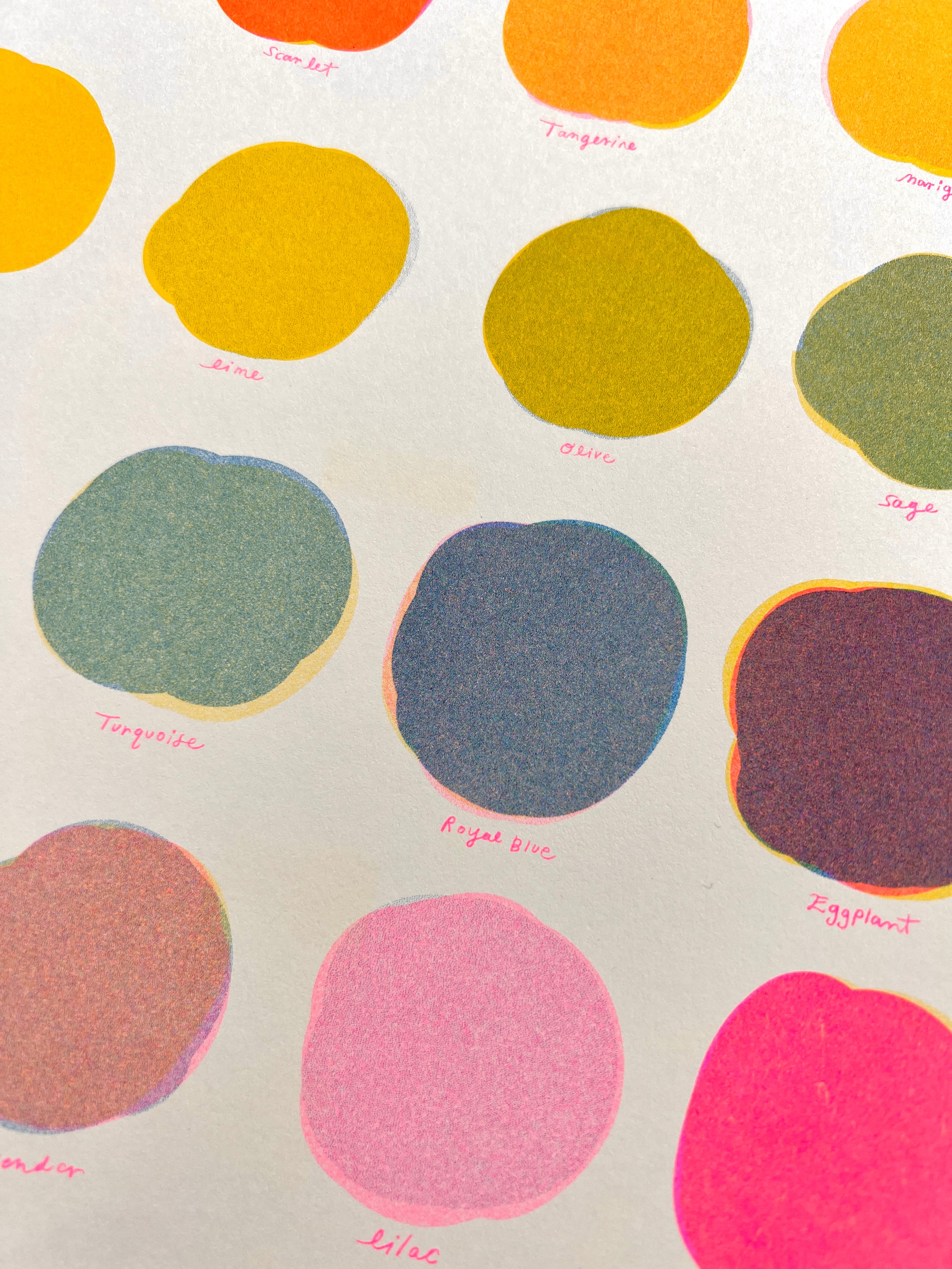 Riso Color Swatch in Blue, Yellow and Fluorescent Pink – natalie andrewson