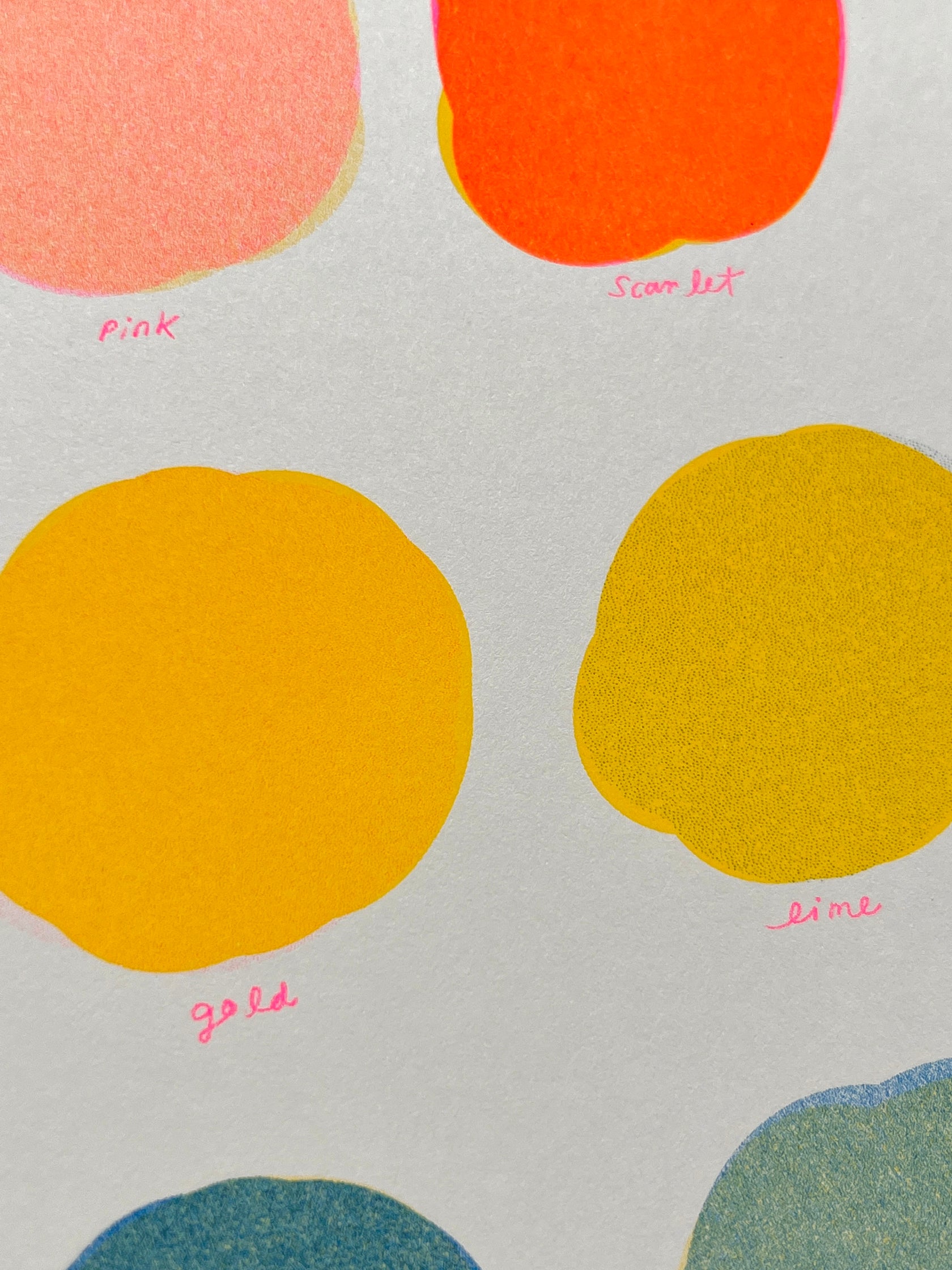 Riso Color Swatch in Blue, Yellow and Fluorescent Pink – natalie andrewson