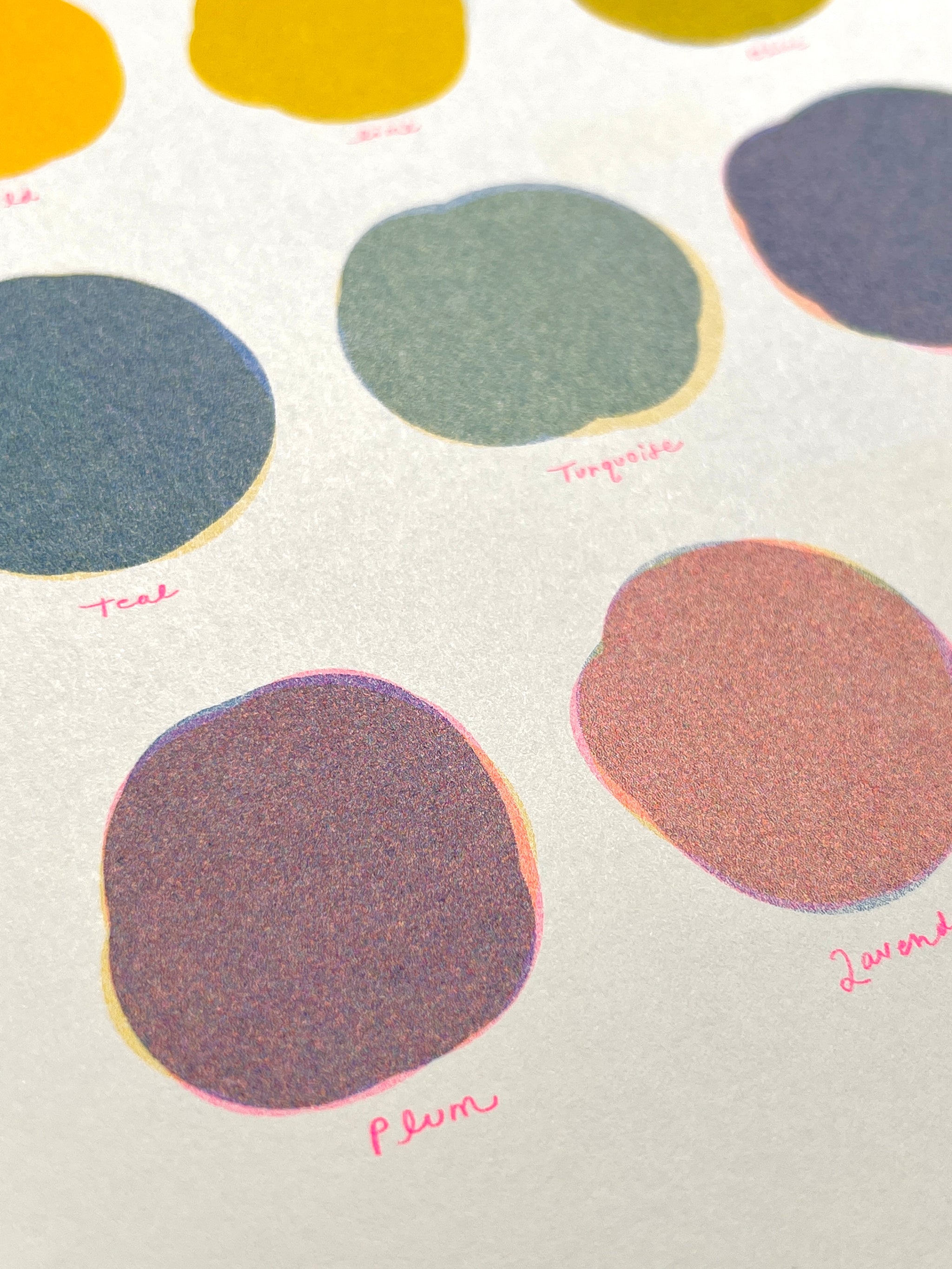 Riso Color Swatch in Blue, Yellow and Fluorescent Pink – natalie andrewson