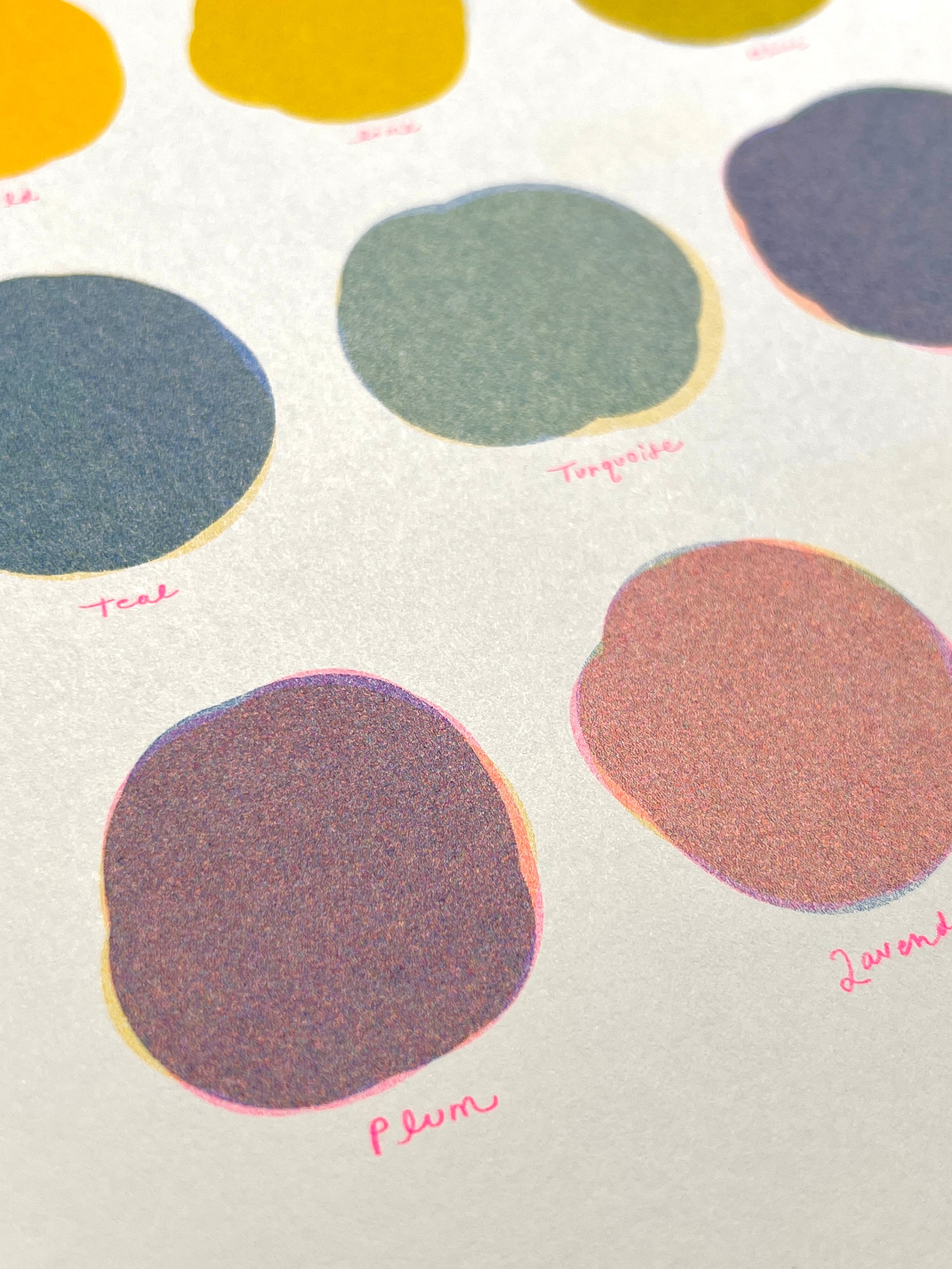 Riso Color Swatch in Blue, Yellow and Fluorescent Pink – natalie andrewson