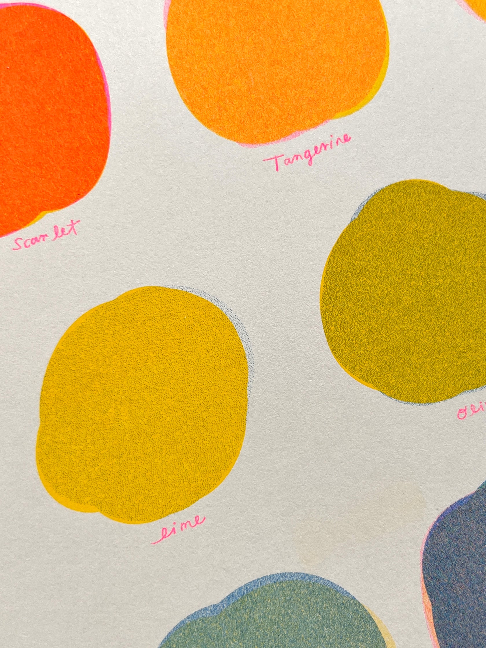 Riso Color Swatch in Blue, Yellow and Fluorescent Pink – natalie andrewson